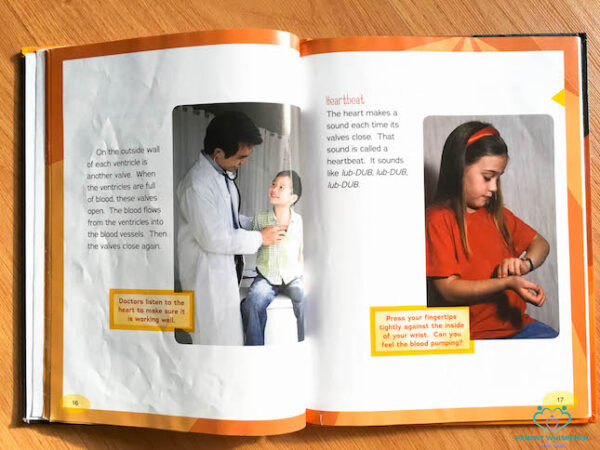 Human Body Systems Book Review - Lup Wai - Parent Whisperer